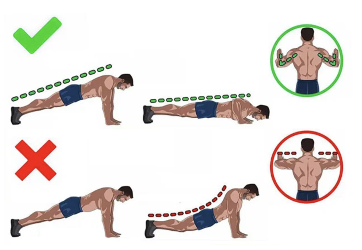 Push-ups and Health: Norms and Indicators for All Ages. - Sport Active ...